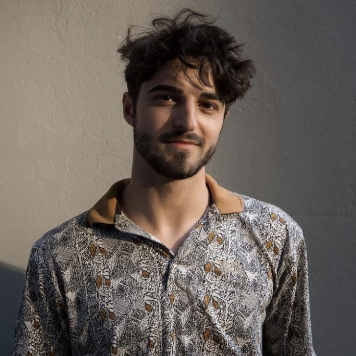 Anderson – Limousine Dream